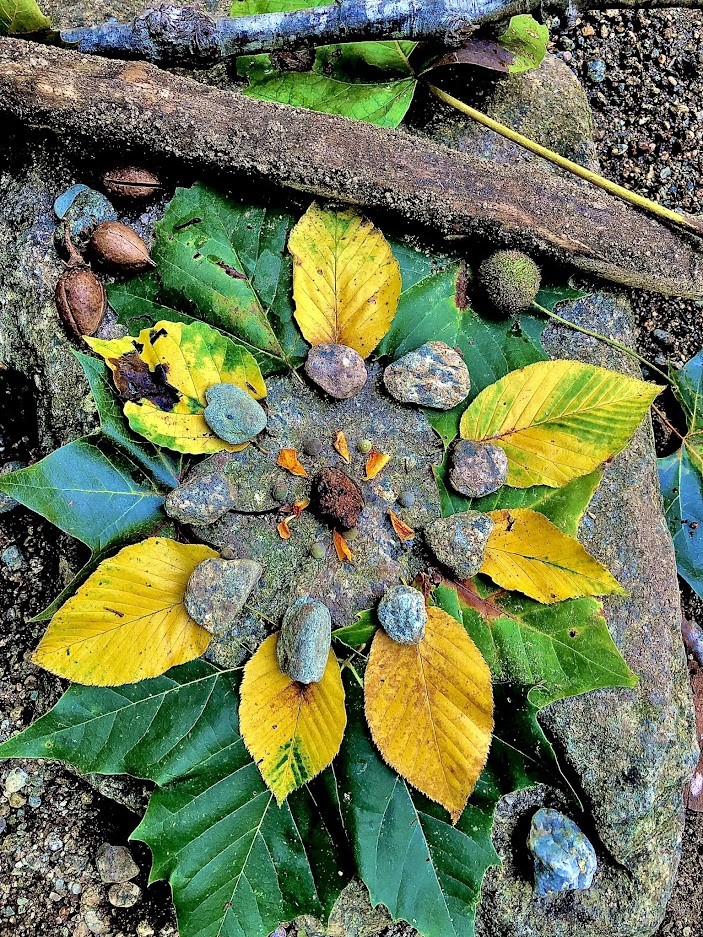 Nature Mandala | Christine Center